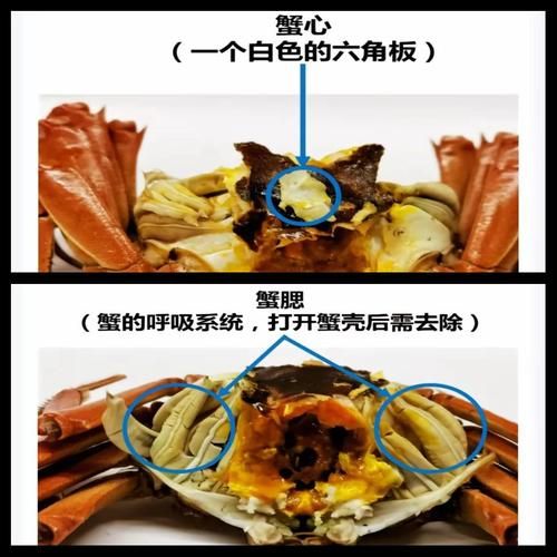 螃蟹哪些部位不能吃_螃蟹哪里不能吃-第2张图片-山城妙识