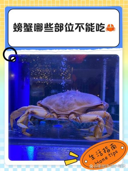 螃蟹哪些部位不能吃_螃蟹哪里不能吃-第3张图片-山城妙识