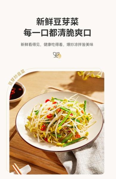 豆芽代理是什么_豆芽代理怎么用-第1张图片-山城妙识