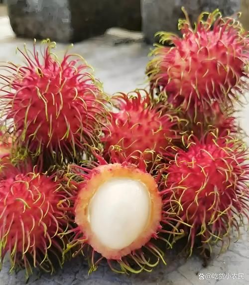 红毛丹一天吃几个最好_红毛丹吃多了会怎样-第1张图片-山城妙识 红毛丹一天吃几个最好_红毛丹吃多了会怎样-第1张图片-山城妙识