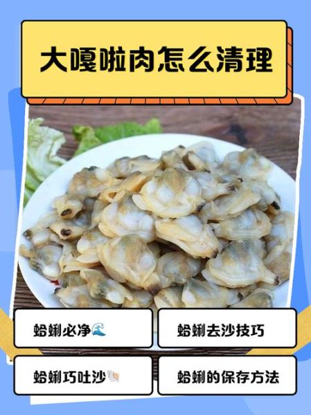 文蛤肉怎么清洗_文蛤肉怎么炒才嫩-第1张图片-山城妙识