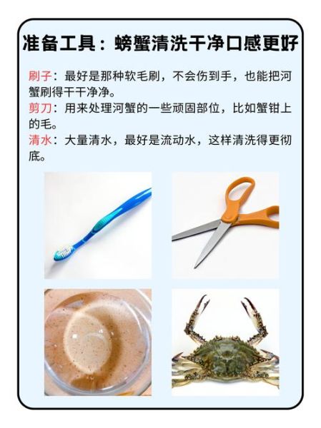 螃蟹怎么处理干净_螃蟹清洗步骤-第1张图片-山城妙识 螃蟹怎么处理干净_螃蟹清洗步骤-第1张图片-山城妙识