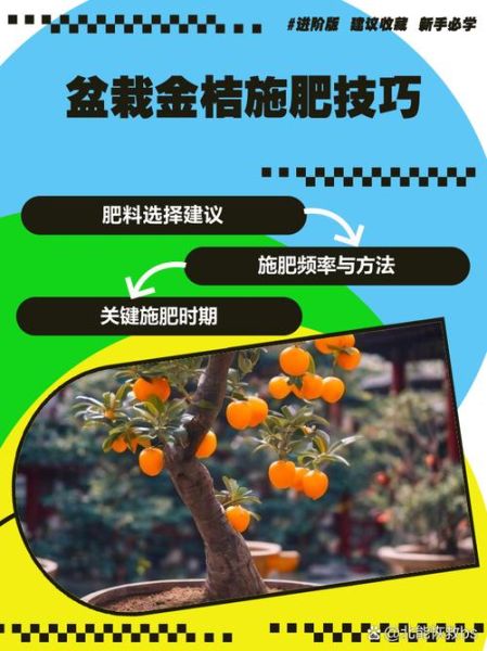 金桔树施什么肥料最好_金桔树施肥时间和方法-第1张图片-山城妙识 金桔树施什么肥料最好_金桔树施肥时间和方法-第1张图片-山城妙识