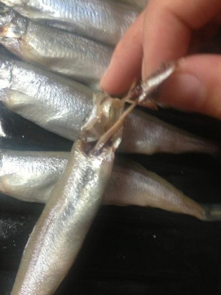 冷冻多春鱼不用去内脏_冷冻多春鱼怎么清洗-第2张图片-山城妙识