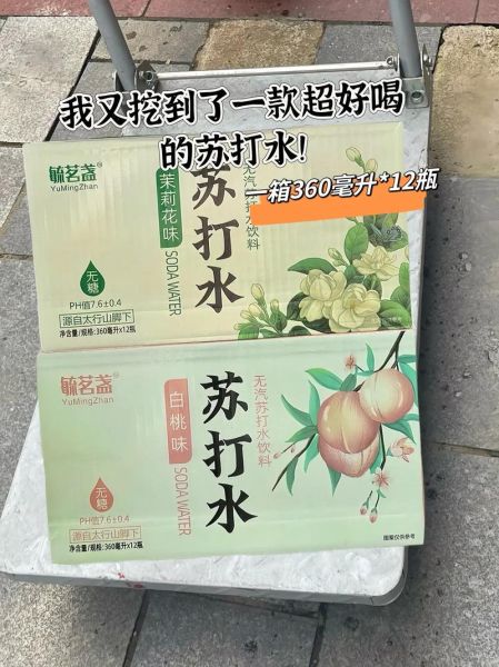 苏打水怎么做饮料_苏打水调饮配方大全-第2张图片-山城妙识