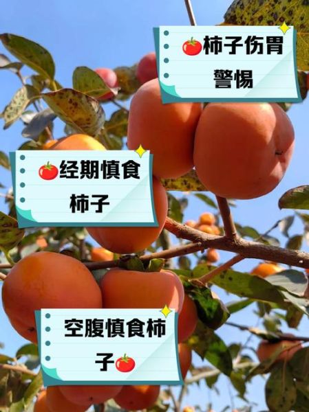 柿子是热性还是凉性_吃柿子会上火吗-第1张图片-山城妙识