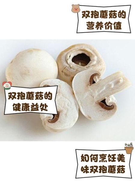 双孢菇种植技术_如何在家种出高产双孢菇-第1张图片-山城妙识