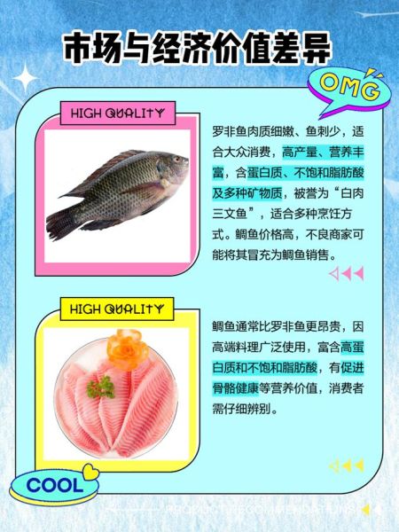 鲷鱼片是什么鱼_鲷鱼片和罗非鱼区别-第1张图片-山城妙识