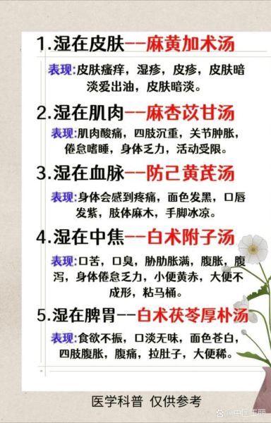 中药除湿气6味药有哪些_怎么搭配效果最好-第2张图片-山城妙识 中药除湿气6味药有哪些_怎么搭配效果最好-第2张图片-山城妙识