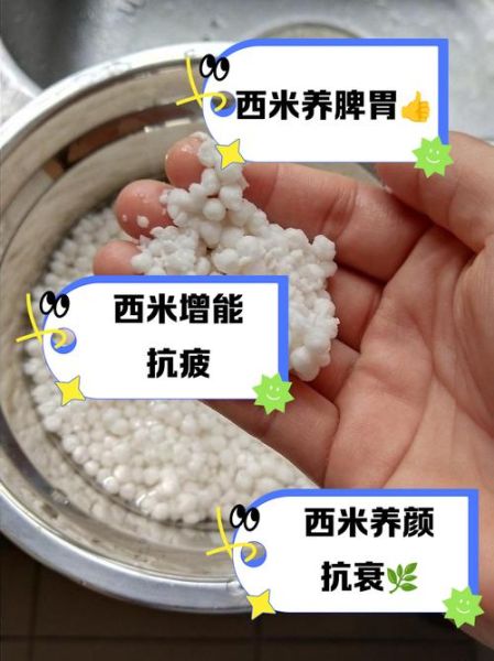 西米怎么煮才透明_西米的功效与作用禁忌-第1张图片-山城妙识
