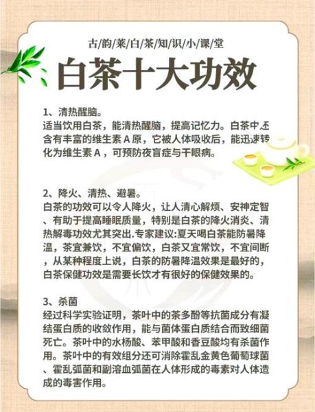 白茶的功效与作用_白茶怎么喝最养生-第1张图片-山城妙识