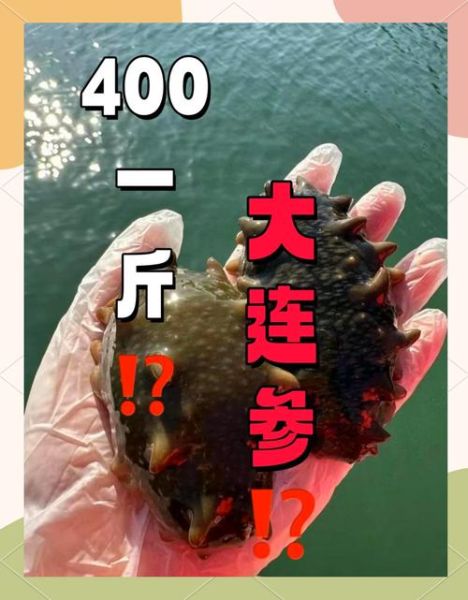 海参价格差别为什么那么大_海参多少钱一斤合理-第1张图片-山城妙识
