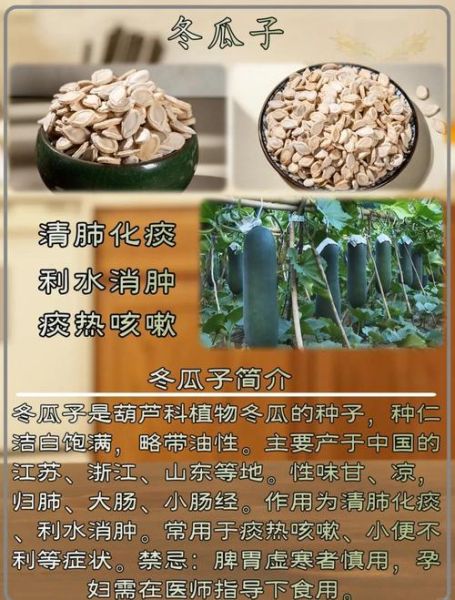 冬瓜的功效与作用_冬瓜的禁忌症有哪些-第3张图片-山城妙识