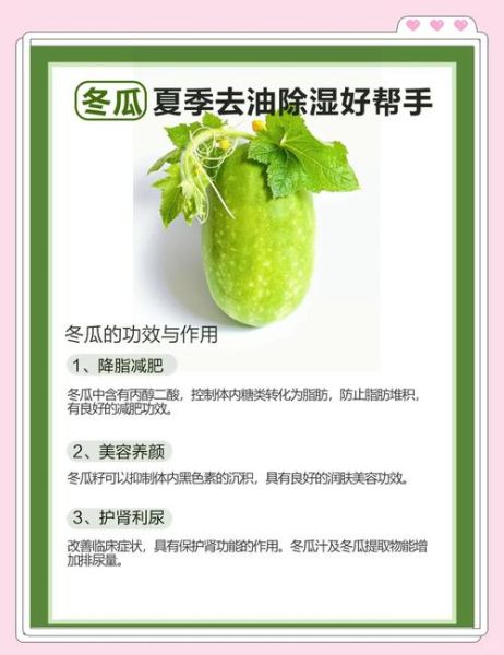 冬瓜的功效与作用及禁忌_哪些人不能吃冬瓜-第1张图片-山城妙识
