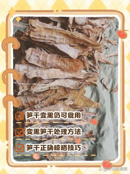 笋干发霉了还能吃吗_如何正确处理笋干发霉-第1张图片-山城妙识