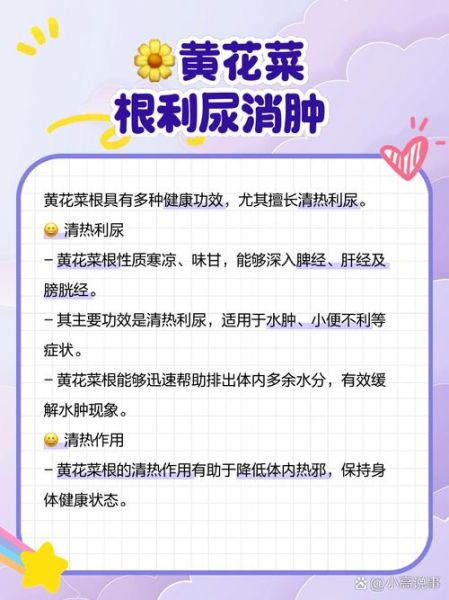 黄花菜根的功效与作用_黄花菜根怎么吃效果最好-第3张图片-山城妙识