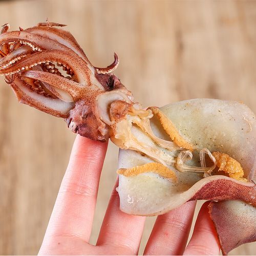 小海兔怎么去内脏_内脏清理步骤-第2张图片-山城妙识