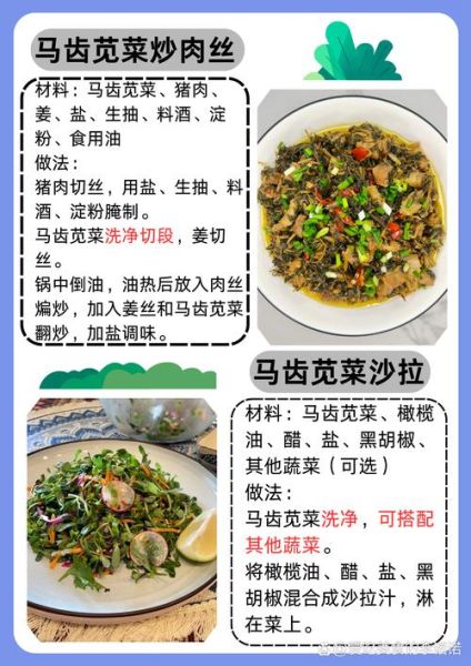 苋菜怎么炒好吃_苋菜的做法大全家常-第1张图片-山城妙识