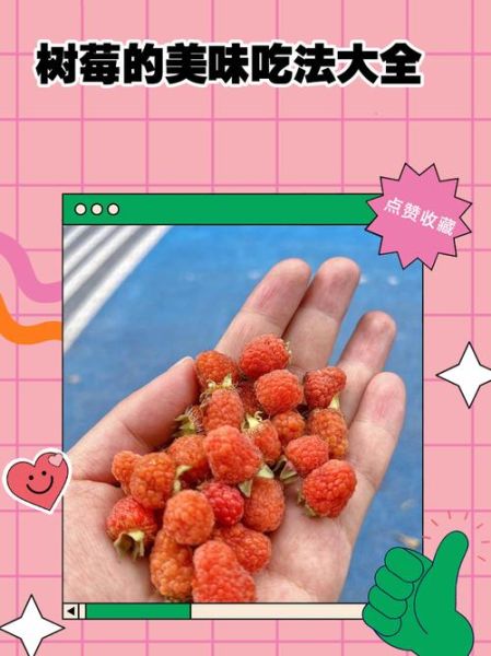 树梅的功效与作用_树梅怎么吃最好-第2张图片-山城妙识 树梅的功效与作用_树梅怎么吃最好-第2张图片-山城妙识