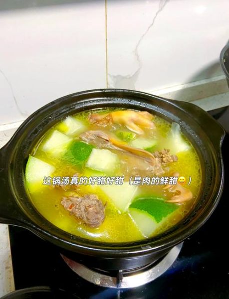 冬瓜老鸭汤的做法_冬瓜老鸭汤的功效-第3张图片-山城妙识