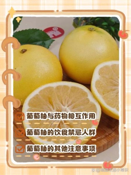 葡萄柚怎么吃减肥_葡萄柚减肥的正确吃法-第3张图片-山城妙识