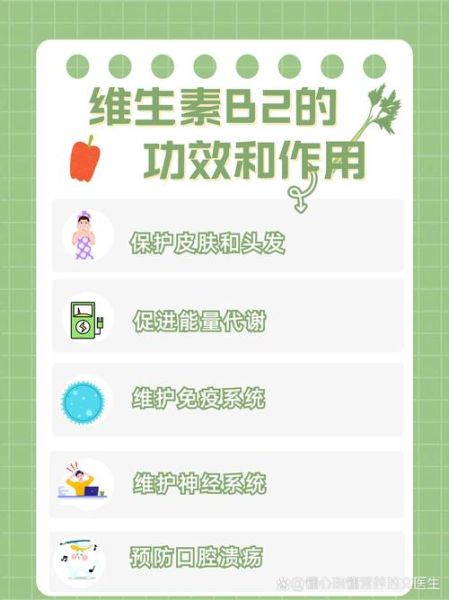 维生素b2的作用和功效_维生素b2能长期吃吗-第2张图片-山城妙识