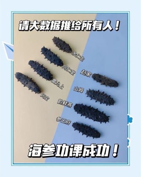 速发海参和淡干海参哪个好_速发海参和淡干海参区别-第1张图片-山城妙识