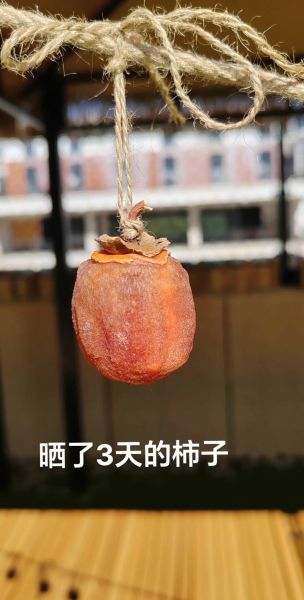 怎么晒柿饼子_柿饼子晒多久才能吃-第1张图片-山城妙识