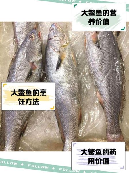 鳘怎么读_鳘鱼是什么鱼-第2张图片-山城妙识 鳘怎么读_鳘鱼是什么鱼-第2张图片-山城妙识