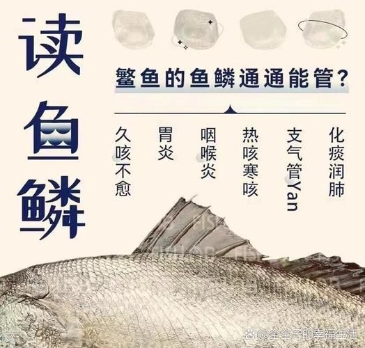 鳘怎么读_鳘鱼是什么鱼-第3张图片-山城妙识 鳘怎么读_鳘鱼是什么鱼-第3张图片-山城妙识