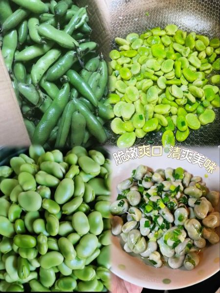 蚕豆壳能吃吗_蚕豆壳怎么吃才安全-第3张图片-山城妙识 蚕豆壳能吃吗_蚕豆壳怎么吃才安全-第3张图片-山城妙识