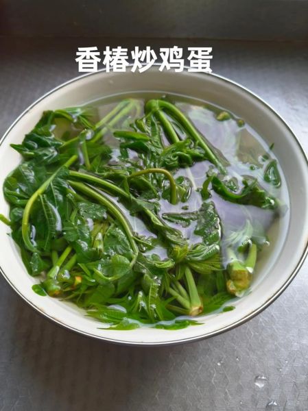 红香椿炒鸡蛋怎么做_红香椿炒鸡蛋需要焯水吗-第3张图片-山城妙识