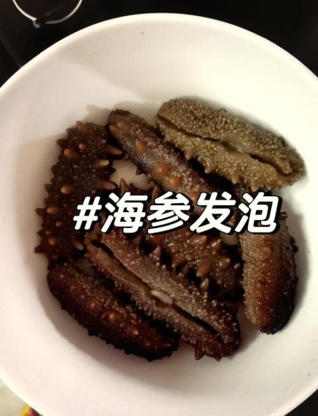 海参怎么泡发最好_海参泡发多久合适-第1张图片-山城妙识 海参怎么泡发最好_海参泡发多久合适-第1张图片-山城妙识