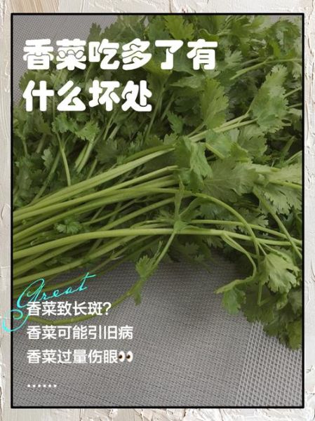 香菜吃多了有什么坏处_香菜过量副作用-第1张图片-山城妙识 香菜吃多了有什么坏处_香菜过量副作用-第1张图片-山城妙识