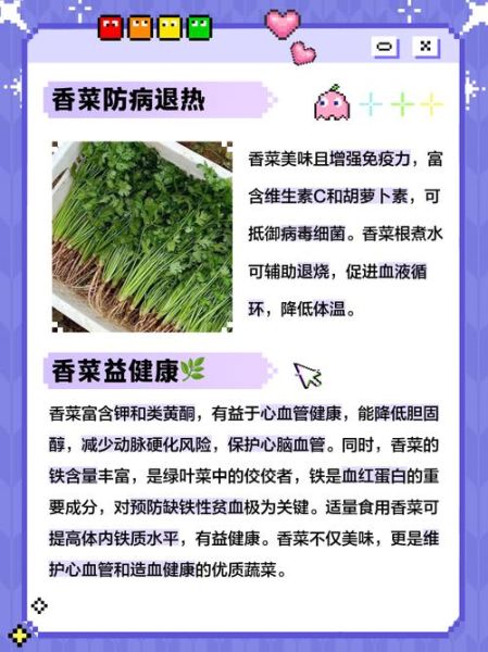 香菜吃多了有什么坏处_香菜过量副作用-第2张图片-山城妙识 香菜吃多了有什么坏处_香菜过量副作用-第2张图片-山城妙识