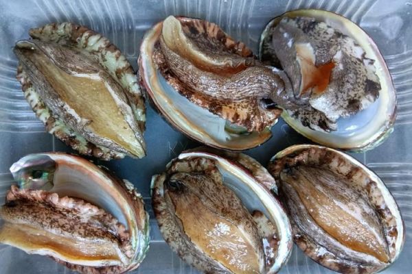 鲍鱼干贝粥怎么做_鲍鱼干贝粥的功效与禁忌-第2张图片-山城妙识