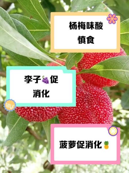 酸性水果有哪些_十大酸性水果排名-第3张图片-山城妙识