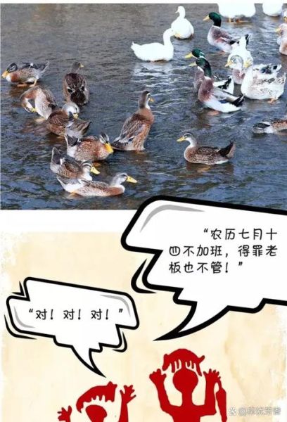 中元节吃什么传统食物_中元节为什么要吃鸭子-第1张图片-山城妙识