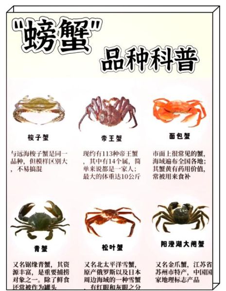 中国海螃蟹种类有哪些_常见海蟹品种大全-第2张图片-山城妙识