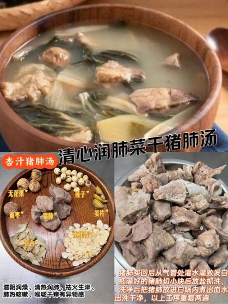 猪肺汤的做法_猪肺汤的功效与禁忌-第1张图片-山城妙识