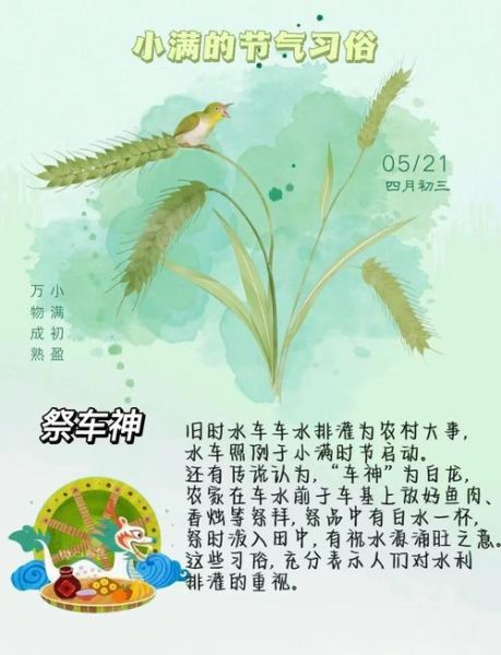 小满节气的含义是什么_小满节气有哪些传统习俗-第2张图片-山城妙识
