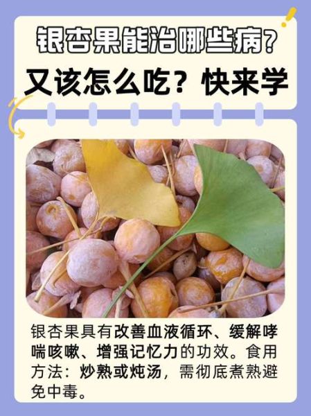 银杏果泡水喝的功效与作用_银杏果泡水一天喝几次-第3张图片-山城妙识 银杏果泡水喝的功效与作用_银杏果泡水一天喝几次-第3张图片-山城妙识