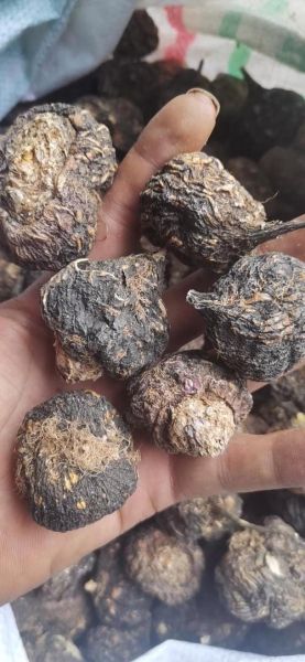 玛卡多少钱一斤2020_2020年玛卡价格走势-第1张图片-山城妙识