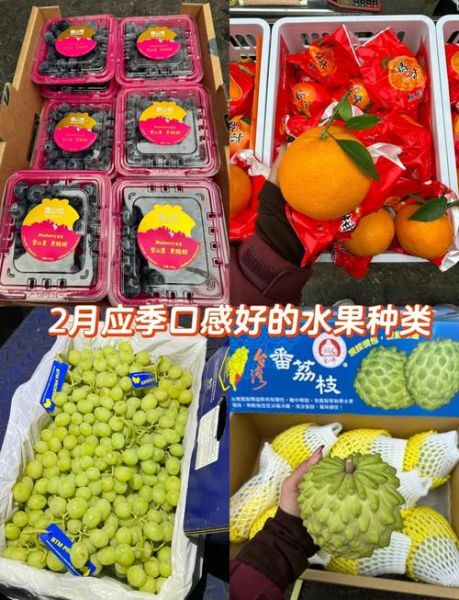 三亚特产水果有哪些_三亚水果几月份最好吃-第2张图片-山城妙识 三亚特产水果有哪些_三亚水果几月份最好吃-第2张图片-山城妙识