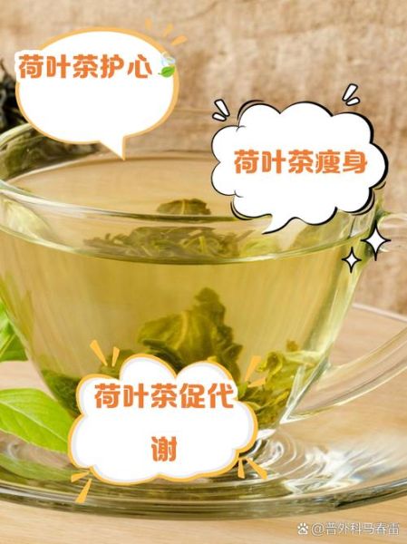 喝荷叶茶会增加湿气吗_湿气重能不能喝荷叶茶-第2张图片-山城妙识 喝荷叶茶会增加湿气吗_湿气重能不能喝荷叶茶-第2张图片-山城妙识