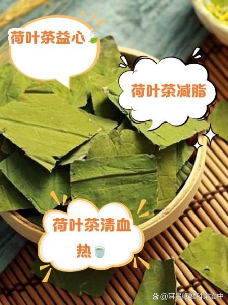 喝荷叶茶会增加湿气吗_湿气重能不能喝荷叶茶-第1张图片-山城妙识 喝荷叶茶会增加湿气吗_湿气重能不能喝荷叶茶-第1张图片-山城妙识