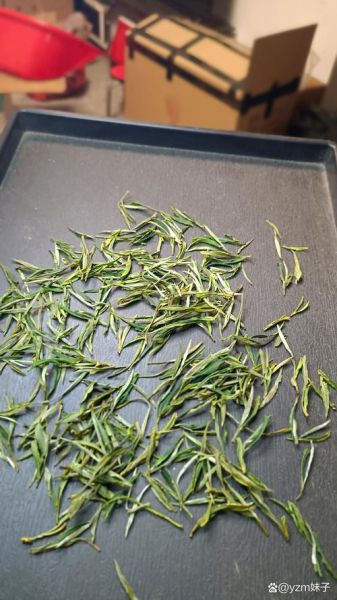 黄山毛峰多少钱一斤_黄山毛峰怎么泡才正宗-第3张图片-山城妙识