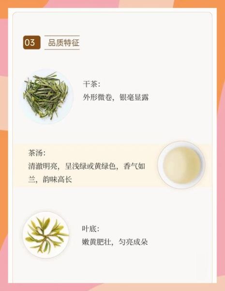 黄山毛峰多少钱一斤_黄山毛峰怎么泡才正宗-第2张图片-山城妙识