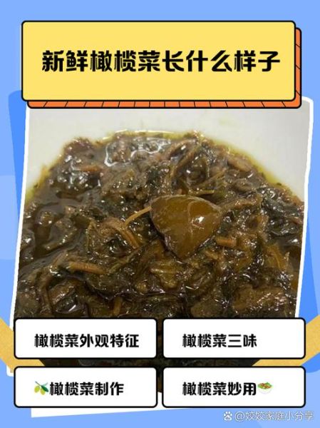 新鲜橄榄菜的营养价值_新鲜橄榄菜的功效与作用-第2张图片-山城妙识 新鲜橄榄菜的营养价值_新鲜橄榄菜的功效与作用-第2张图片-山城妙识