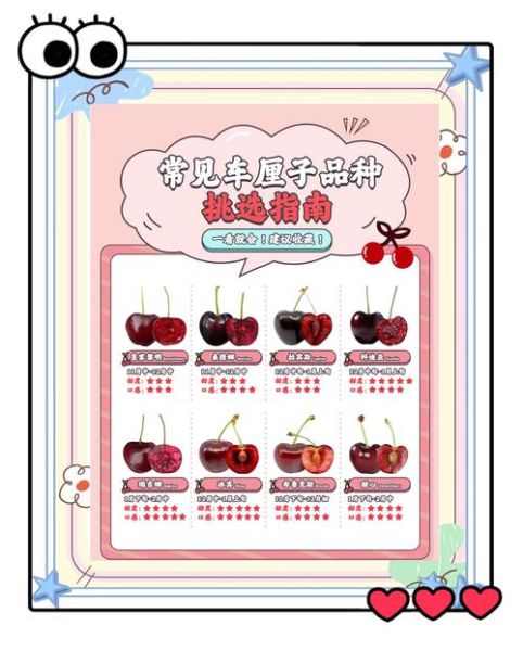 车厘子多少钱一斤_车厘子怎么挑-第2张图片-山城妙识